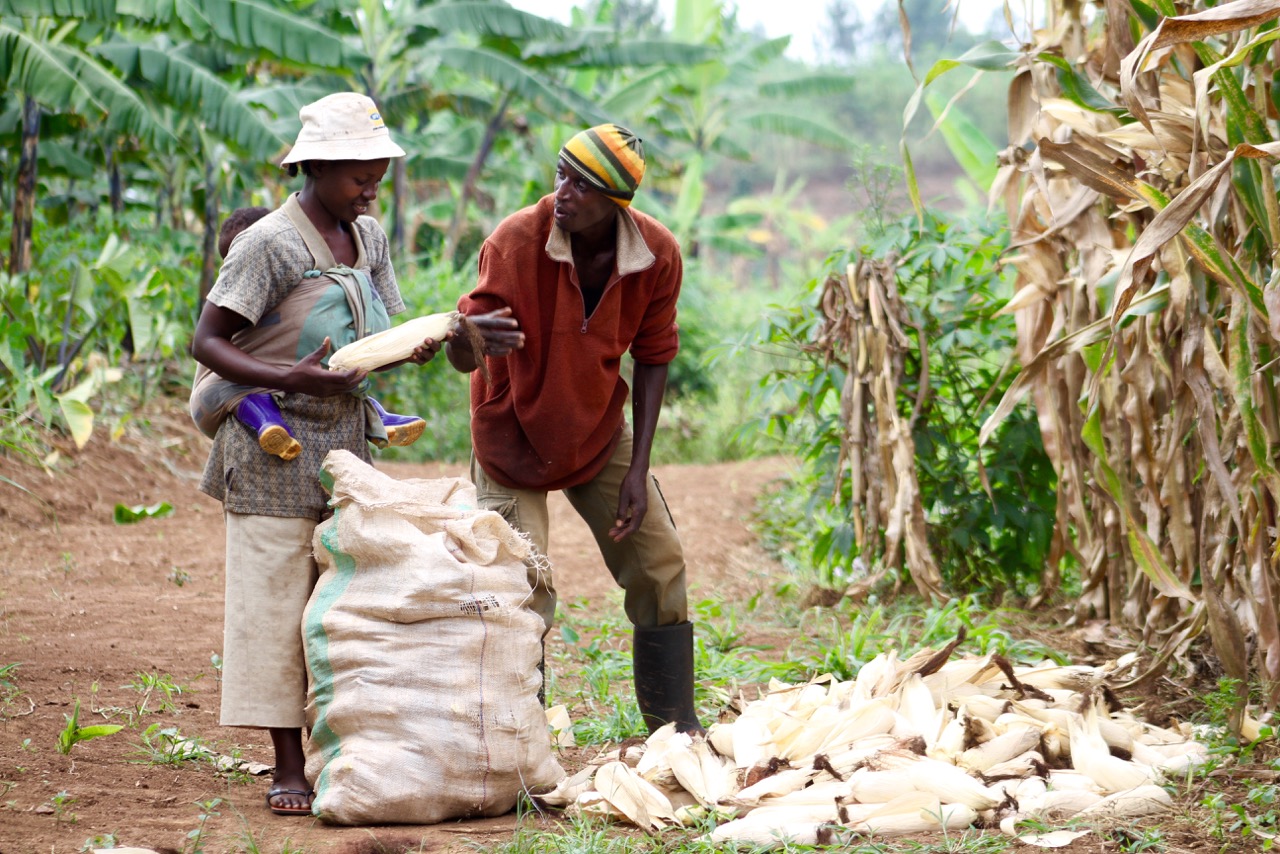 Community Development