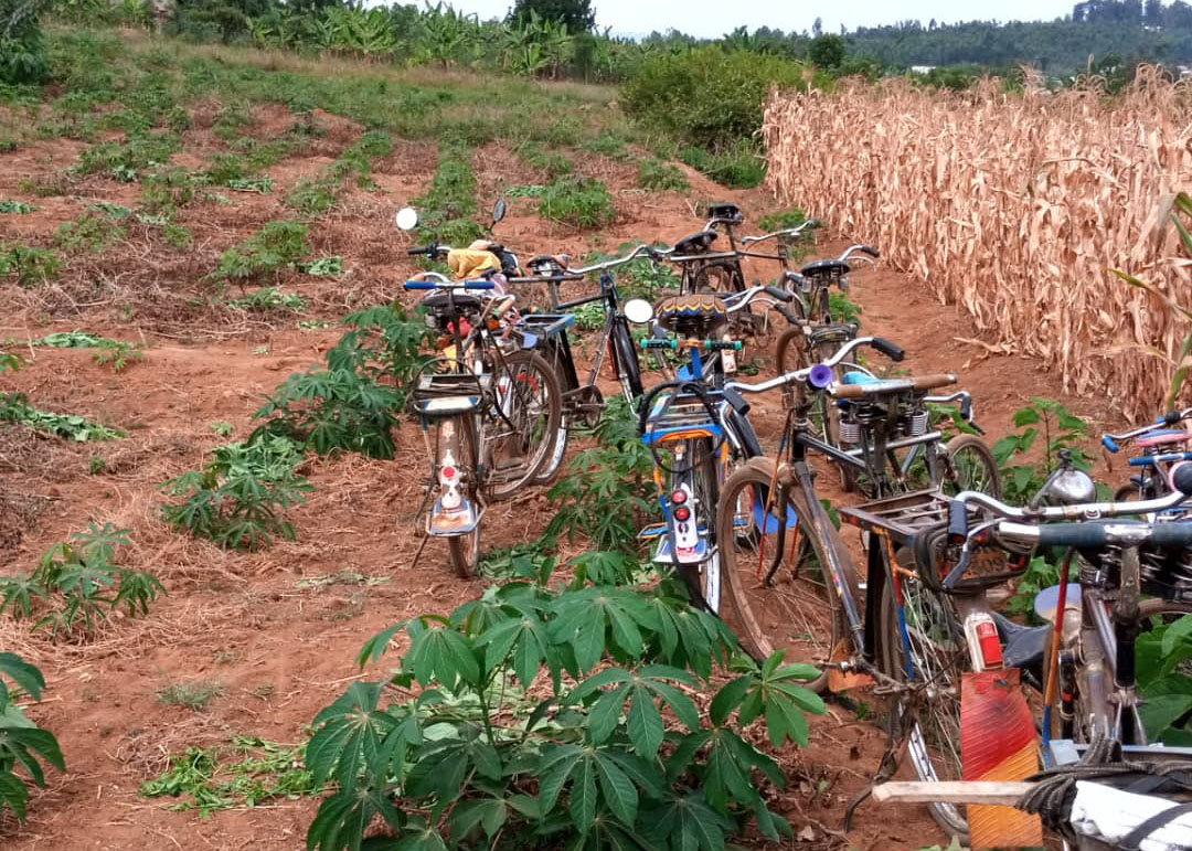 Bicycle Farmers